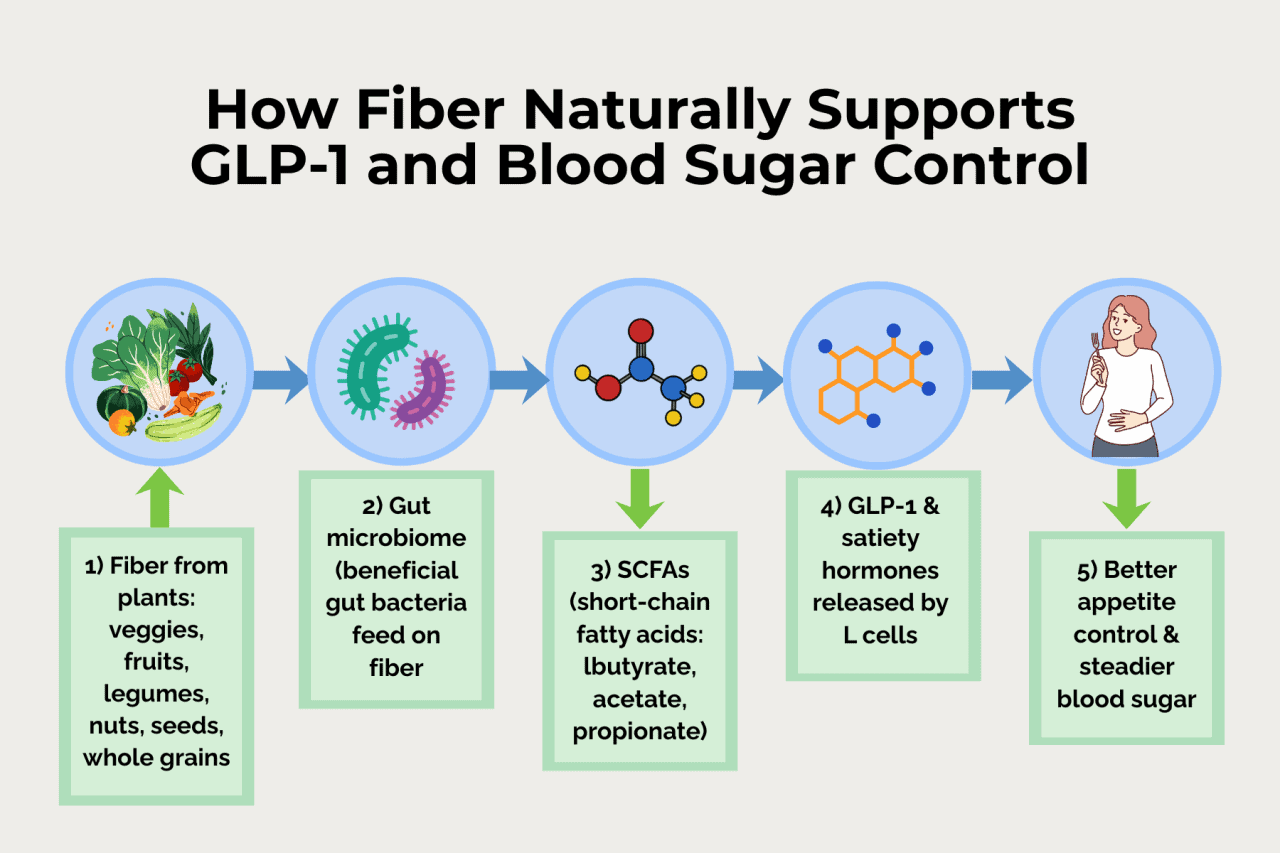 Fiber and Blood Sugar Regulation: The Natural GLP-1 Connection - Terri ...