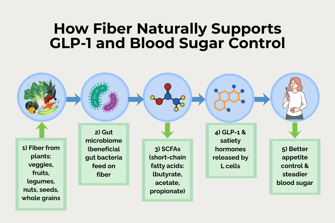 Fiber and Blood Sugar Regulation: The Natural GLP-1 Connection - Terri ...